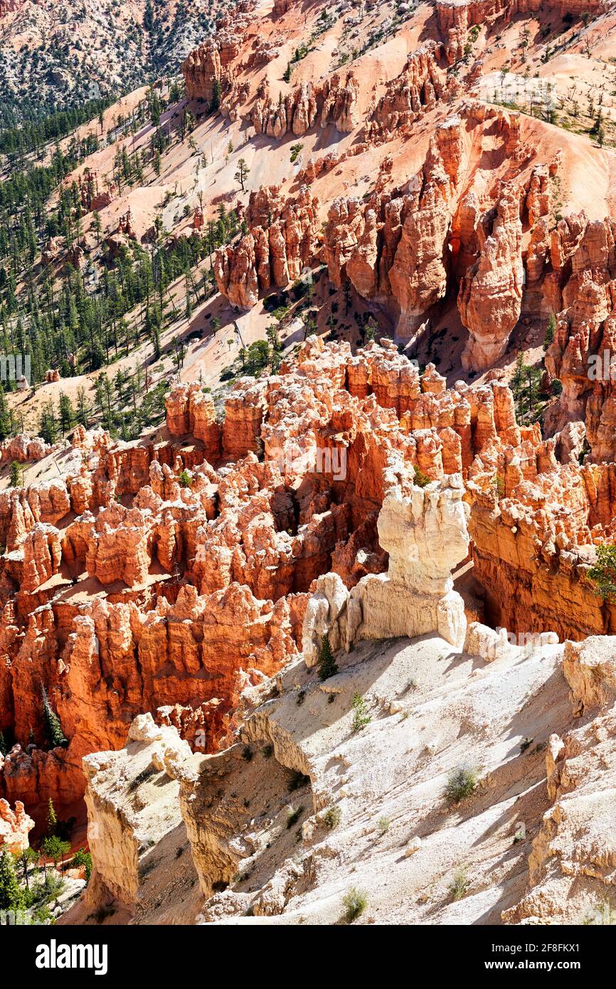 Bryce Point lookout in the Bryce Canyon National Park. Utah USA Stock ...