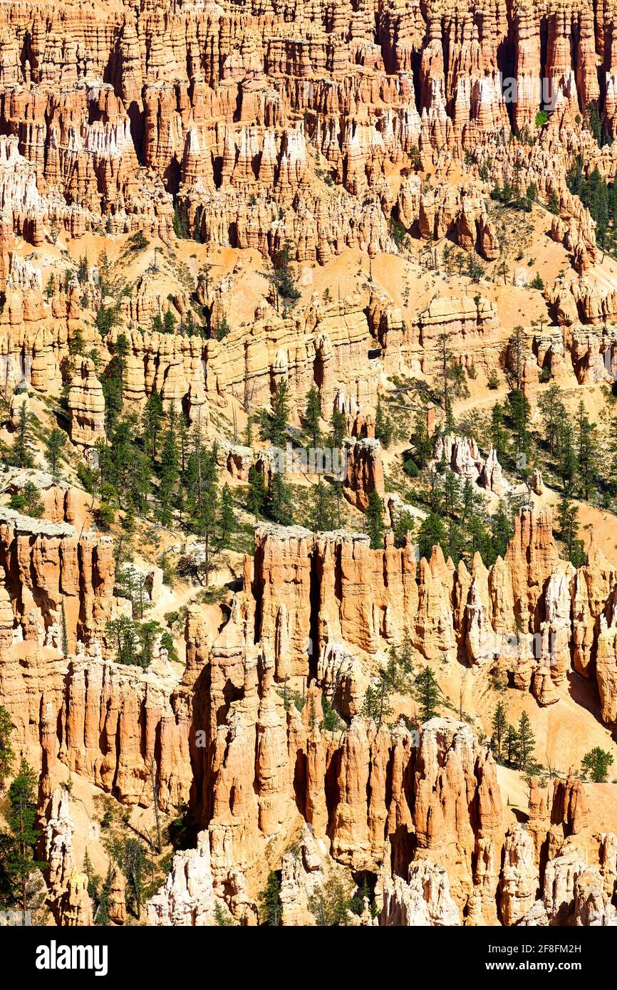 Bryce Point lookout in the Bryce Canyon National Park. Utah USA Stock ...