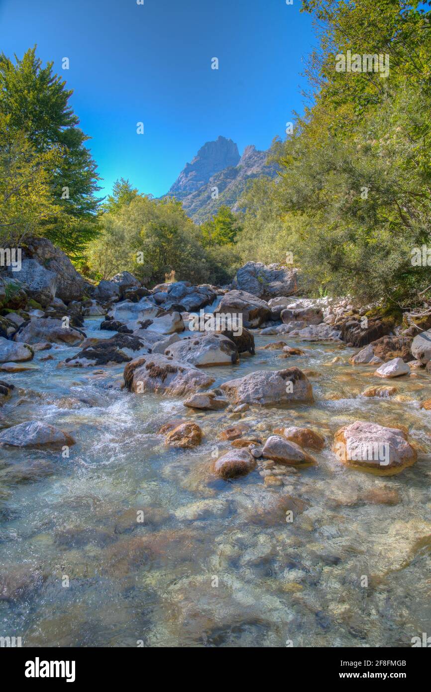 Valbona river surrounded by splendid nature in Albania Stock Photo - Alamy