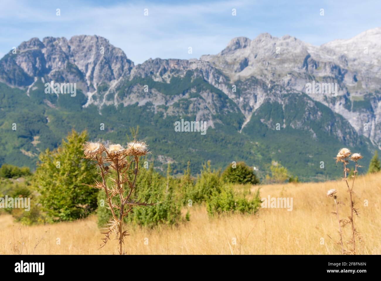 Beautiful landscape of Accursed Mountains viewed from Valbona-Theth ...