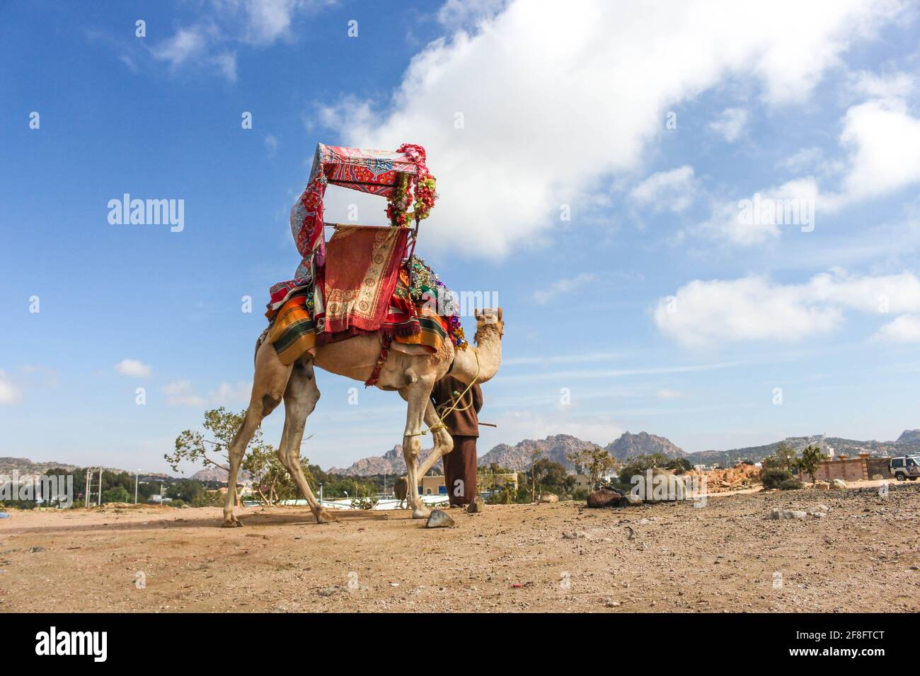 Al Hada Mountains landscapes near Taif, Western Saudi Arabia Stock ...