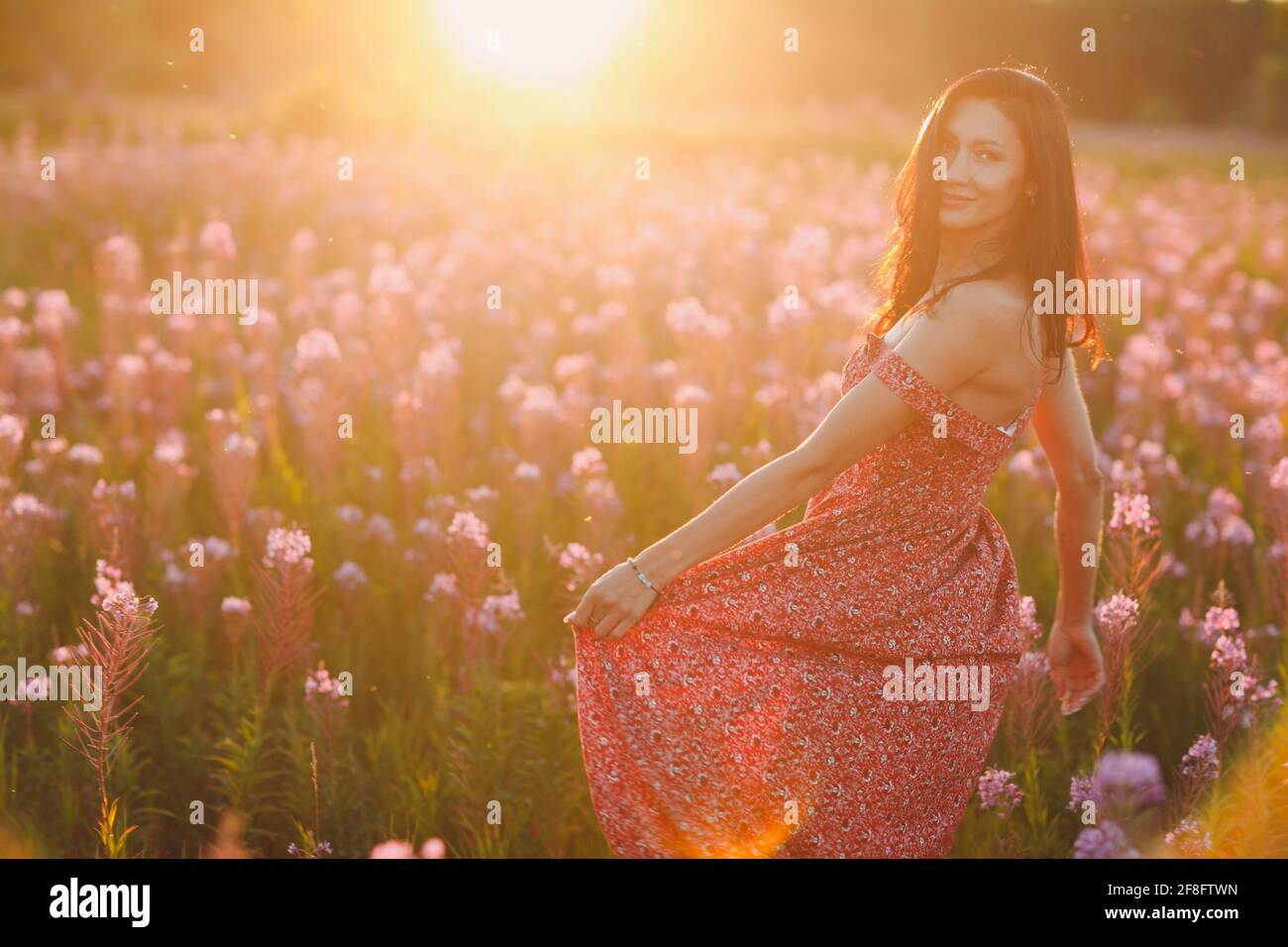 Girl on blooming Sally flower field at sunset. Lilac flowers and woman ...