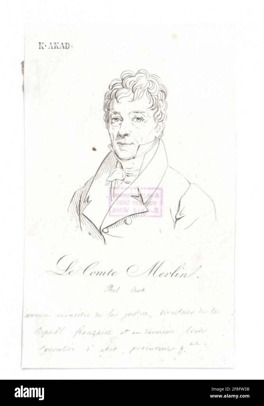 The merlin Cut Out Stock Images & Pictures - Alamy