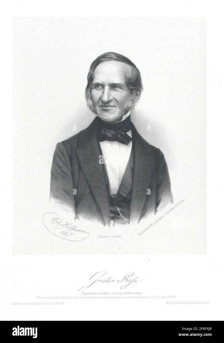 German rose Cut Out Stock Images & Pictures - Alamy