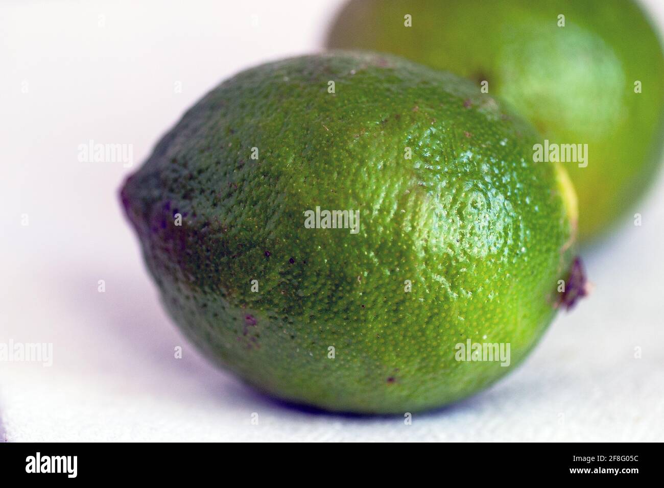 Lime isolated on white background Stock Photo - Alamy