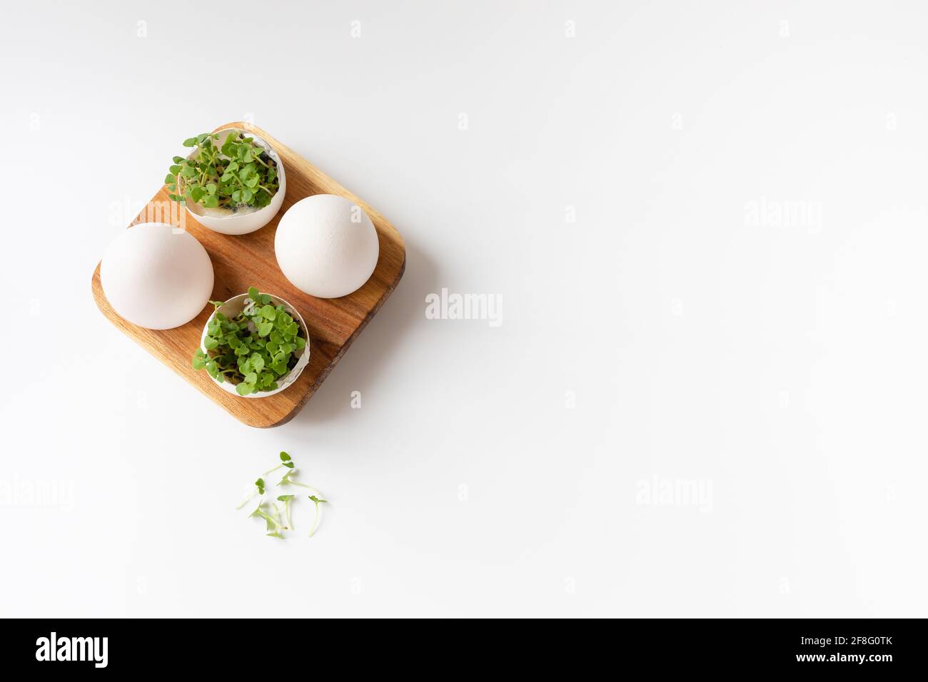 Green sprouts in white egg in wooden egg box on white background ...