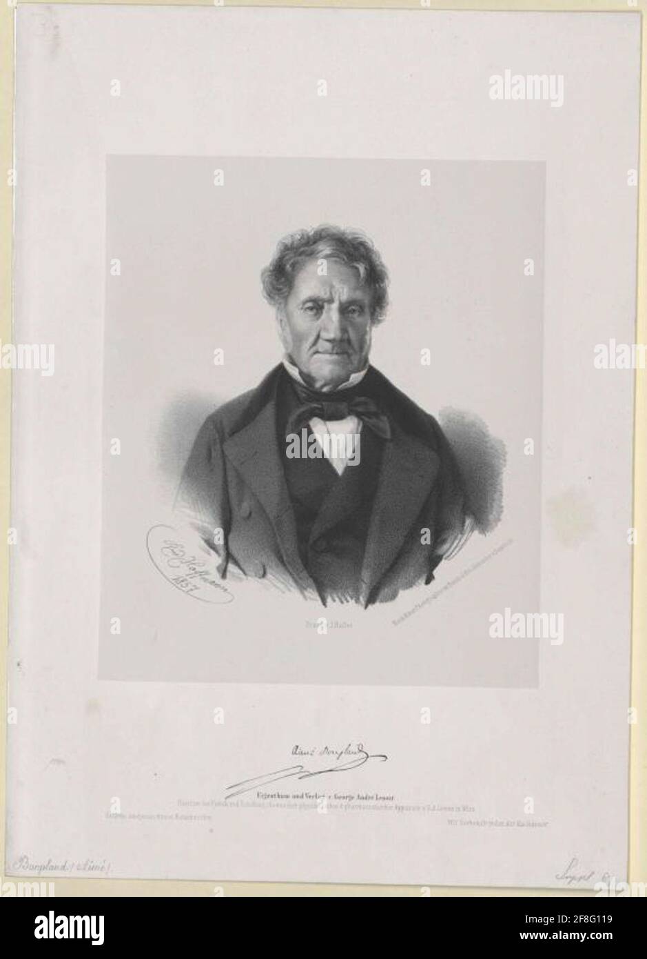 Bonpland hi-res stock photography and images - Alamy