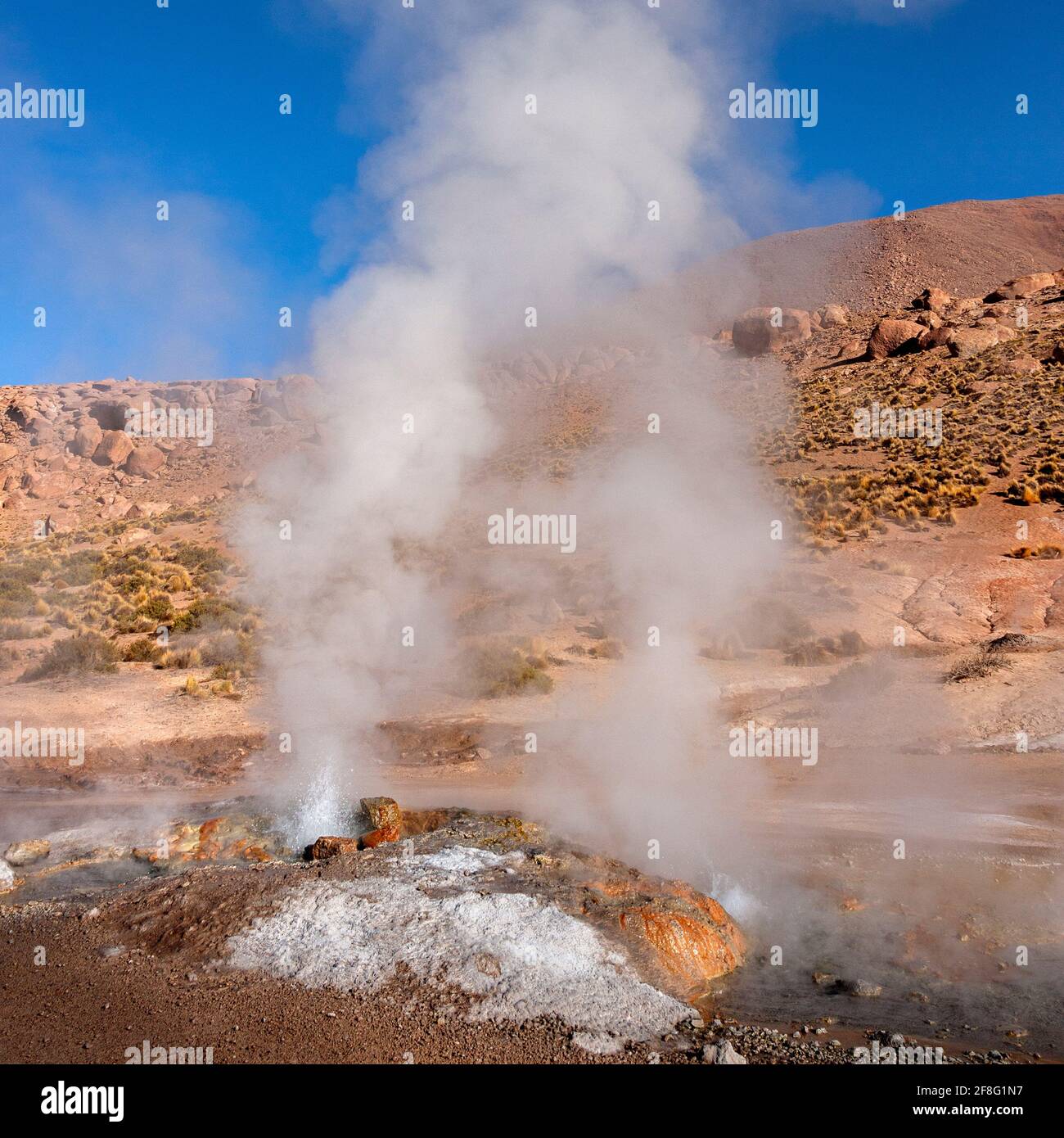 Dawn at the geysers, geothermal steam vents and fumarole of the El ...
