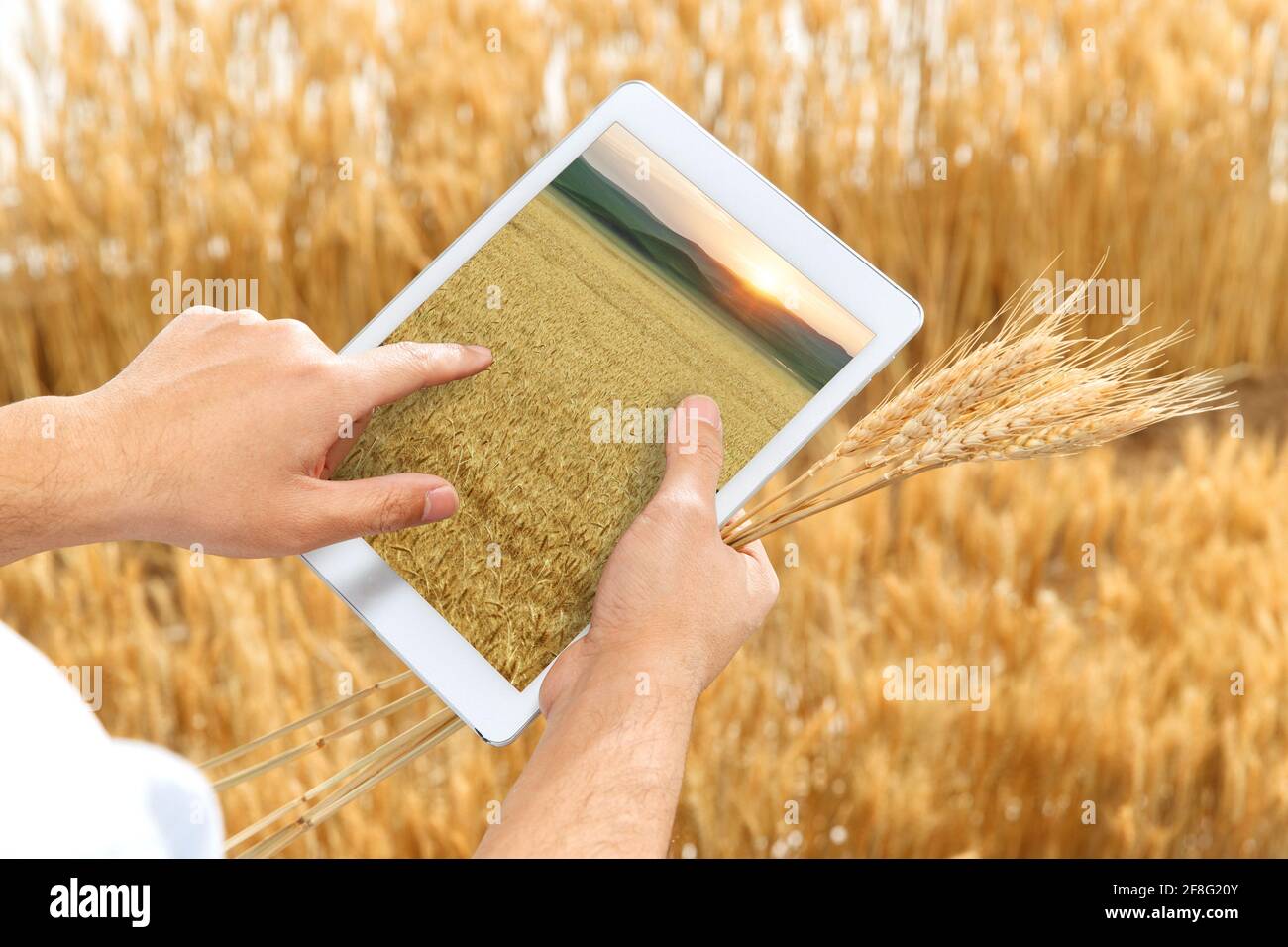 Basic computer science hi-res stock photography and images - Alamy