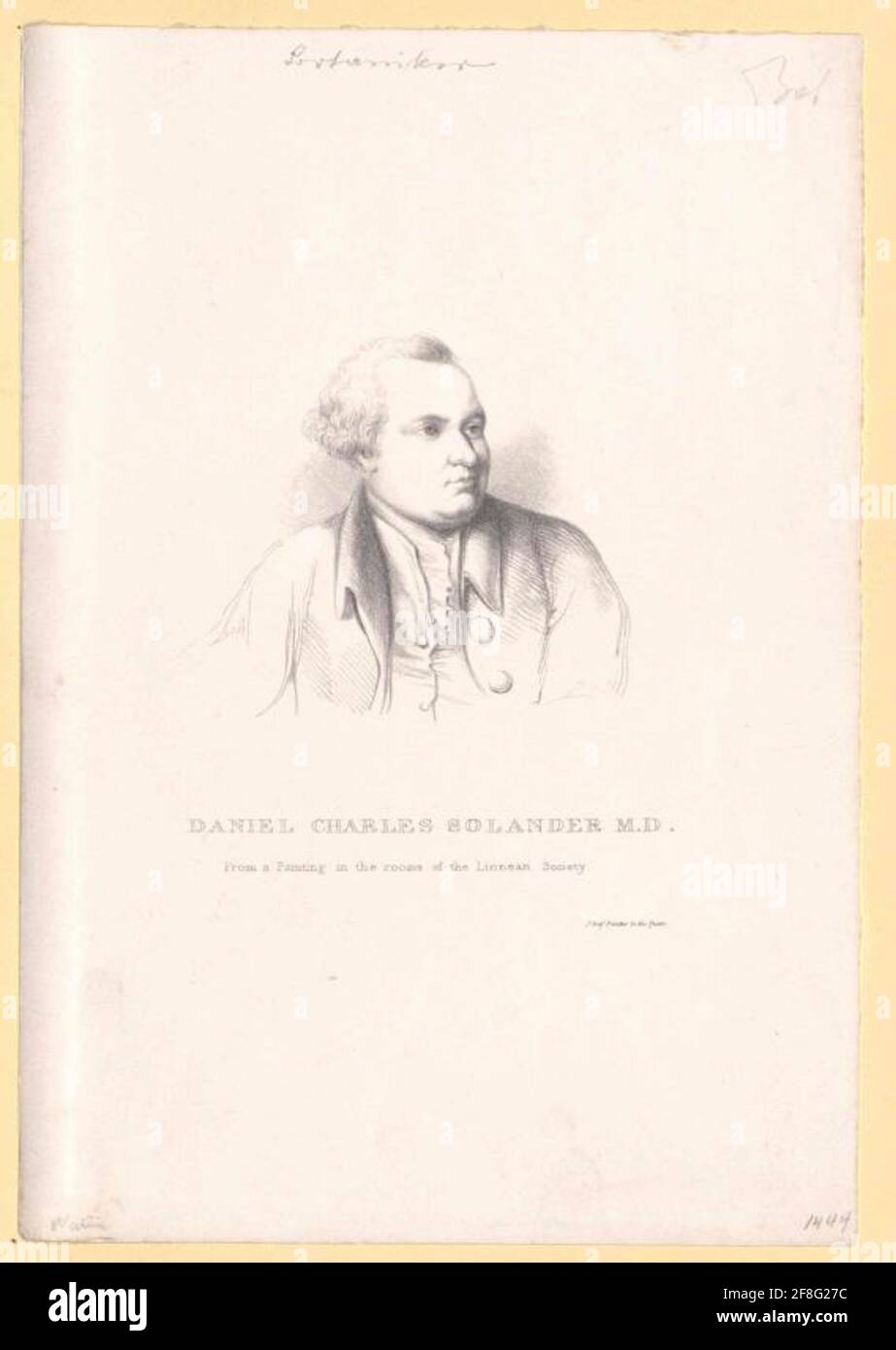 Solander, Daniel Charles Stock Photo - Alamy