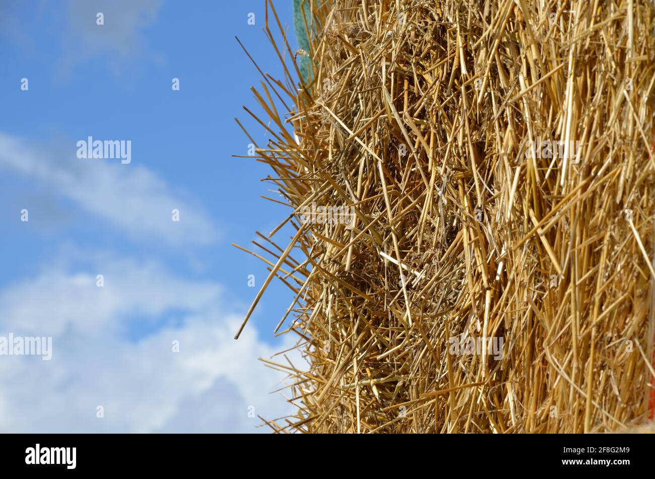 Hay bale closeup hi-res stock photography and images - Alamy