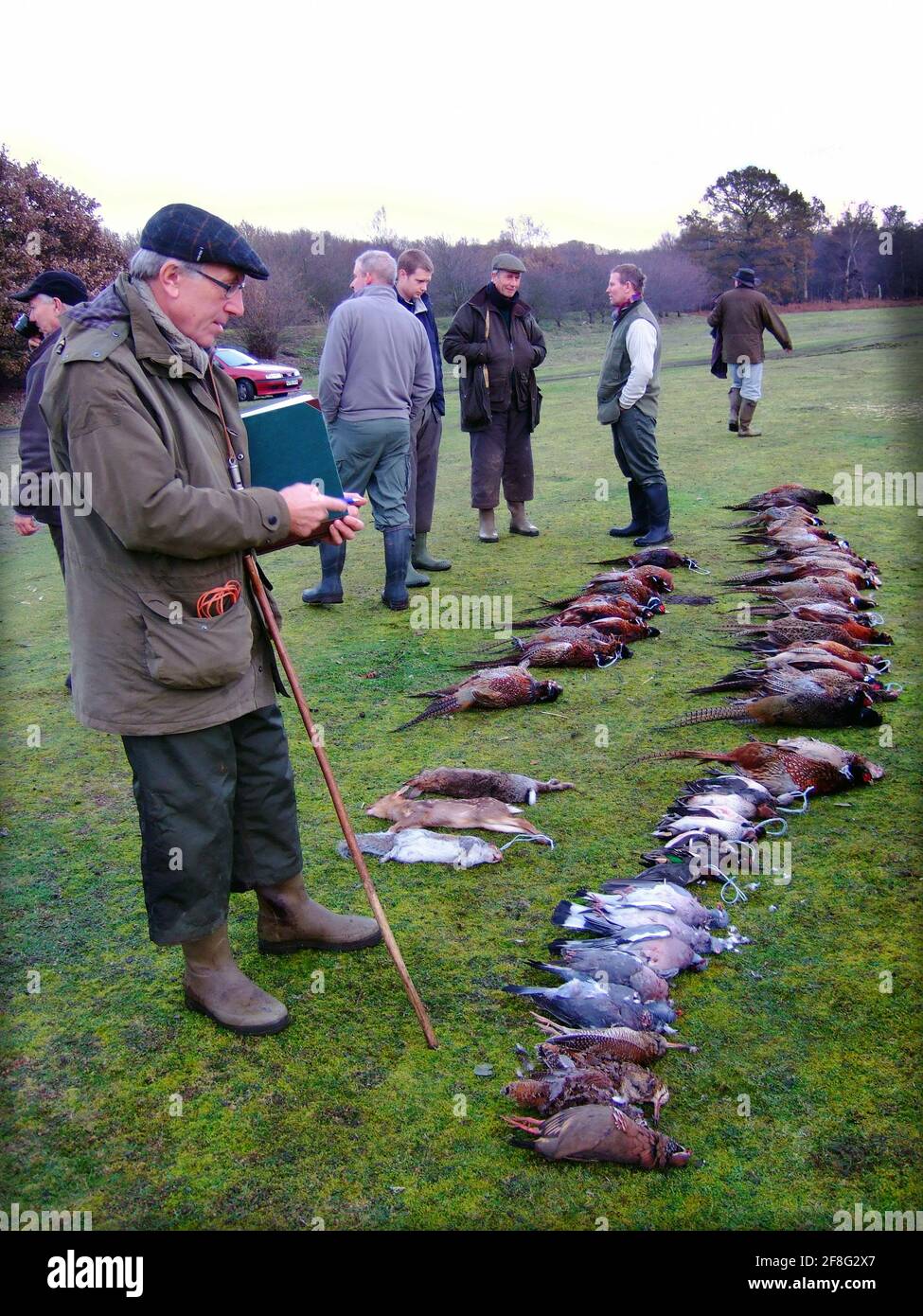 Culling pigeons hi-res stock photography and images - Alamy