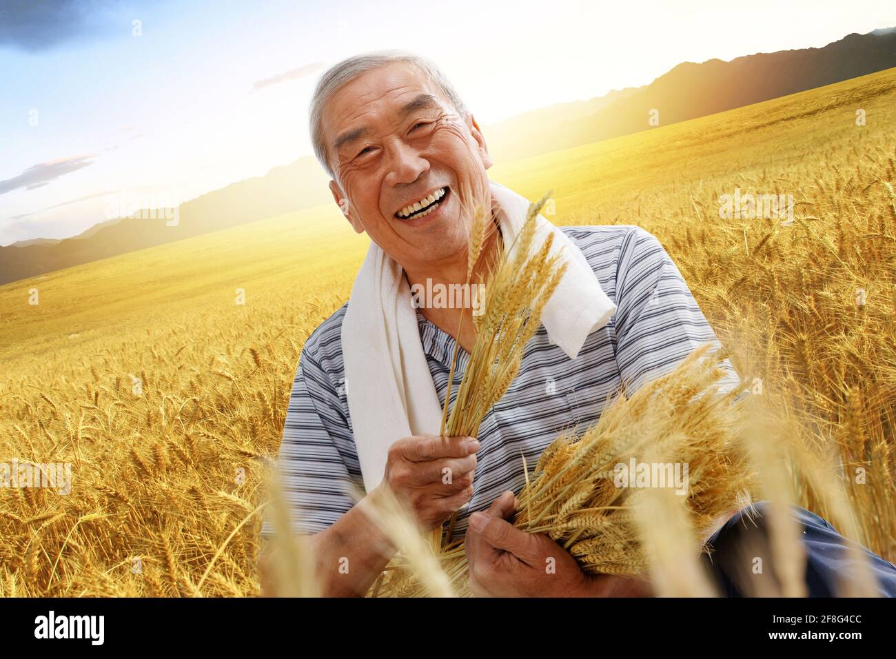 Farmers in view of wheat crop Stock Photo - Alamy