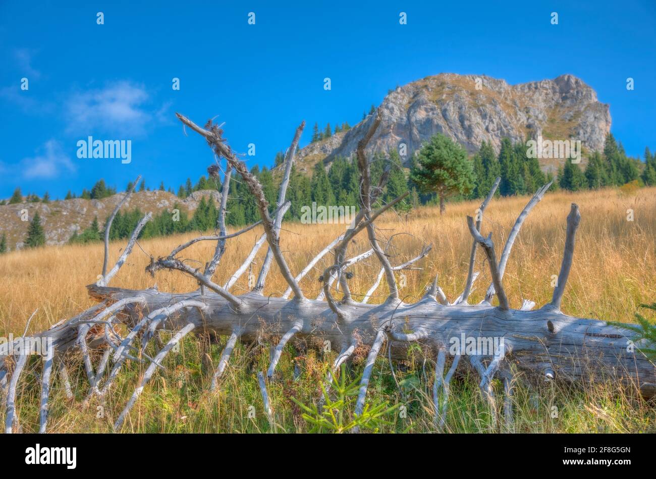 Hajla peak at Rugova mountains in Kosovo Stock Photo - Alamy