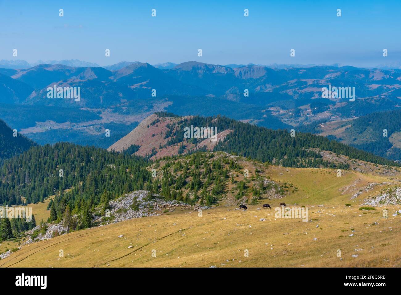 Rugova mountains and Prokletije national park in Kosovo Stock Photo - Alamy