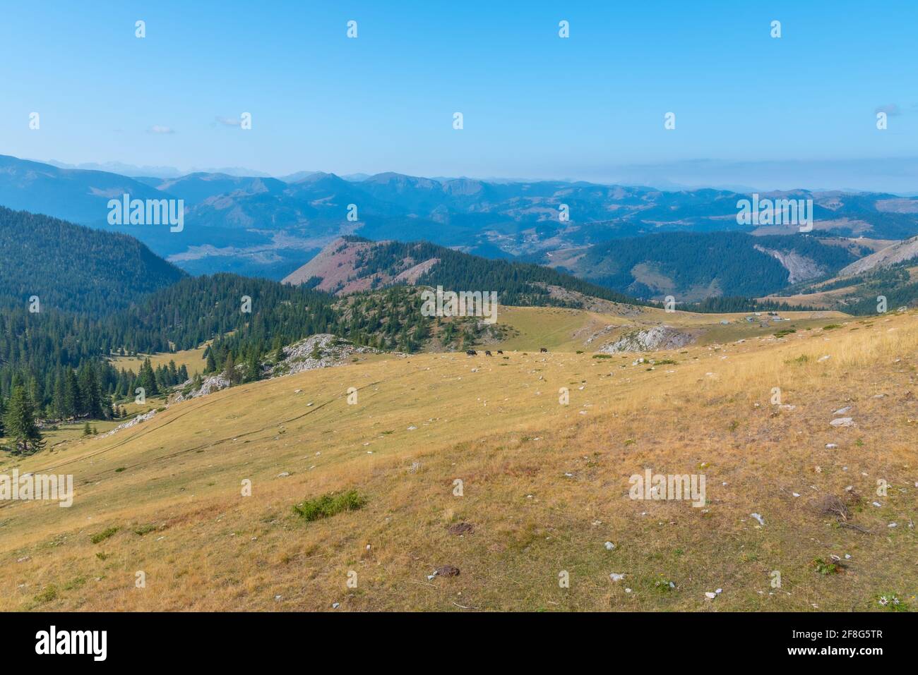 Kosovo and rugova valley hi-res stock photography and images - Alamy