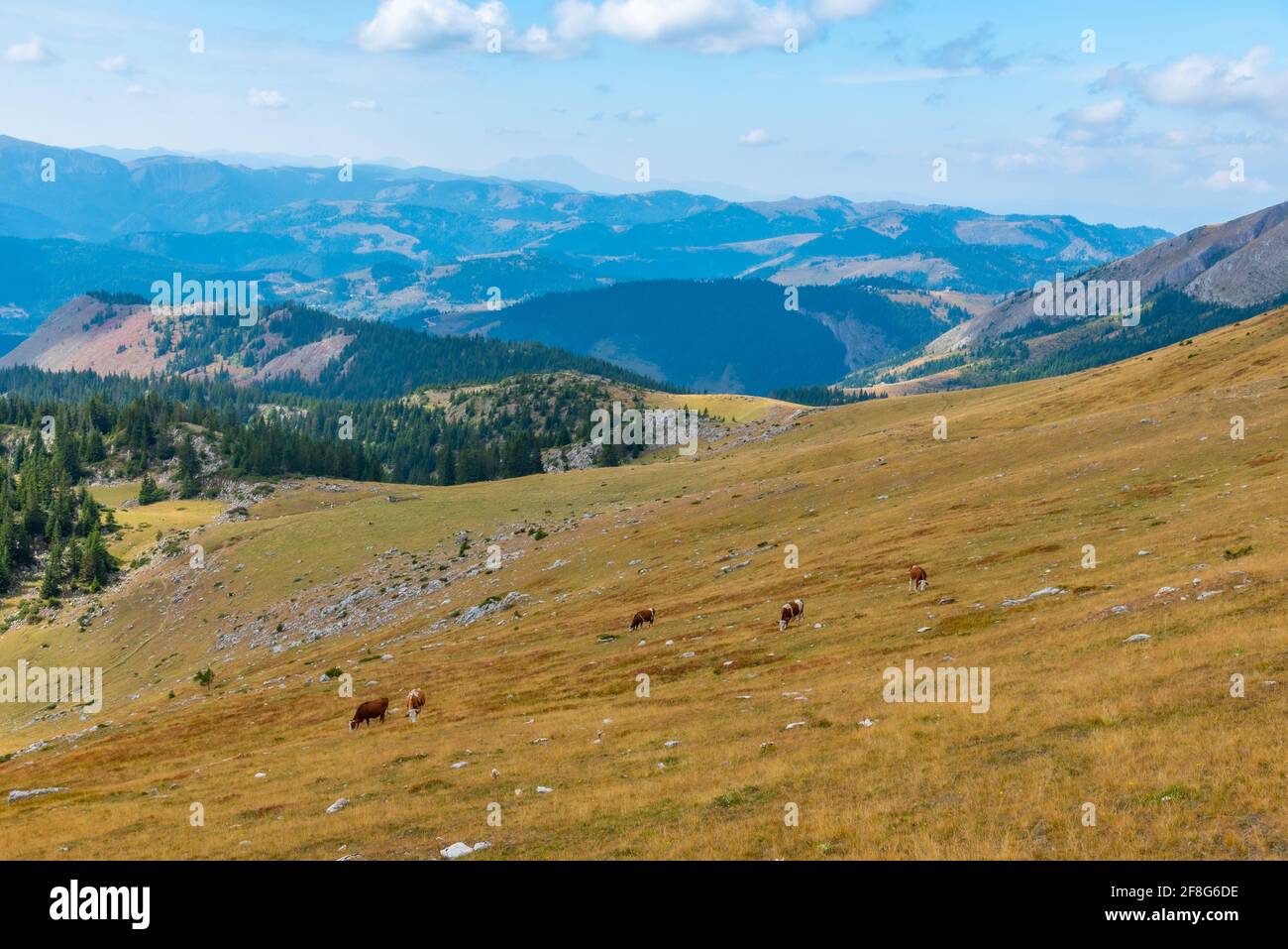 Rugova mountains and Prokletije national park in Kosovo Stock Photo - Alamy