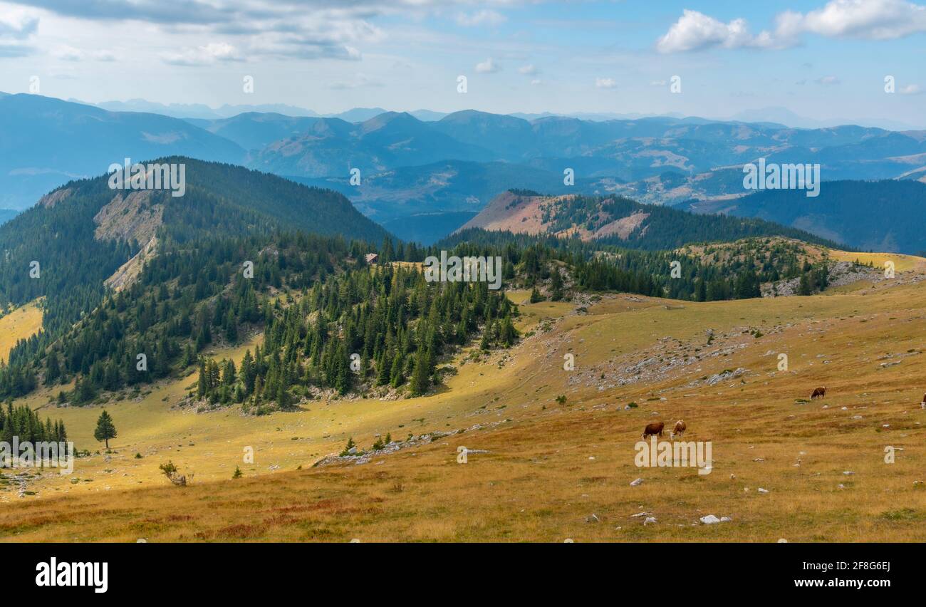 Kosovo and rugova valley hi-res stock photography and images - Alamy