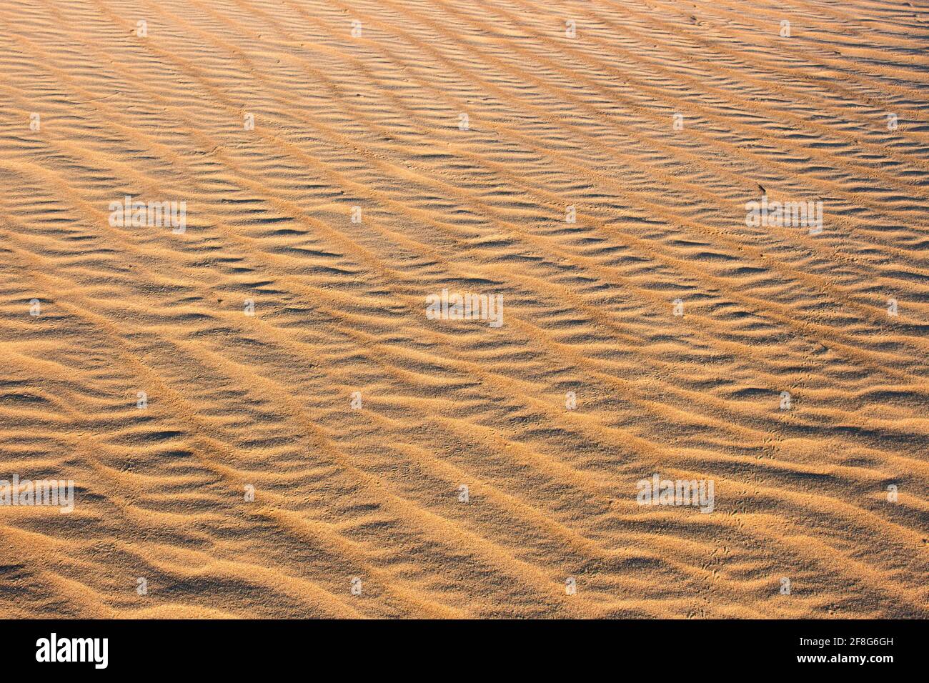 sand dunes in saudi arabia Stock Photo - Alamy