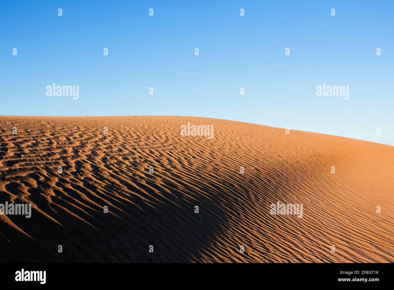 sand dunes in saudi arabia Stock Photo - Alamy