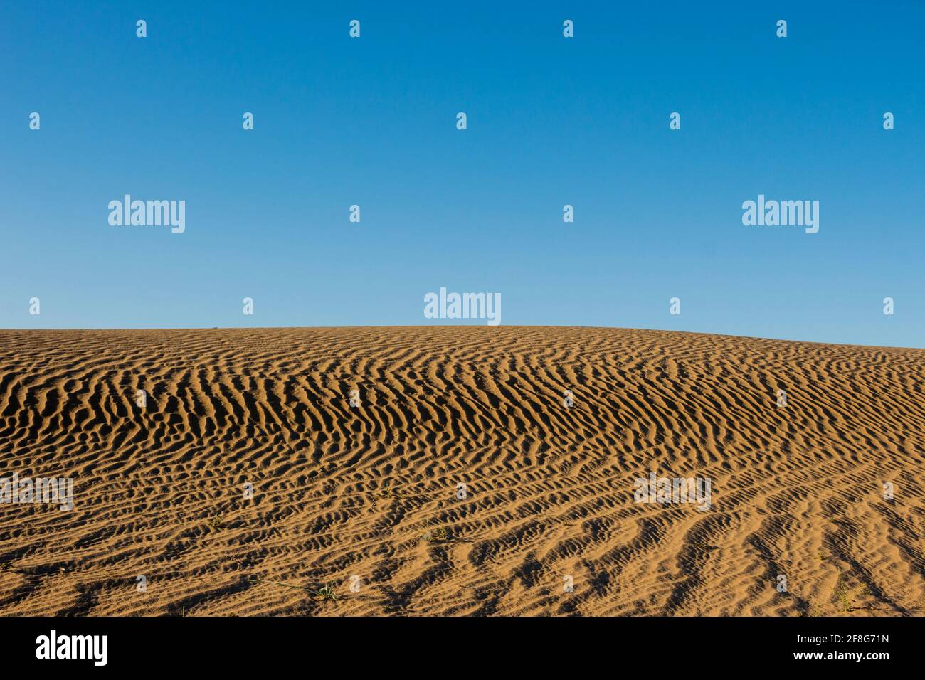 sand dunes in saudi arabia Stock Photo - Alamy