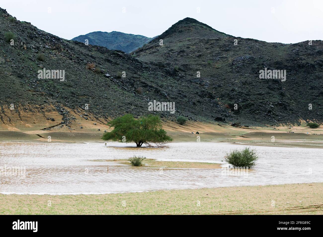 A rainy day at makkah desert, saudi arabia Stock Photo - Alamy