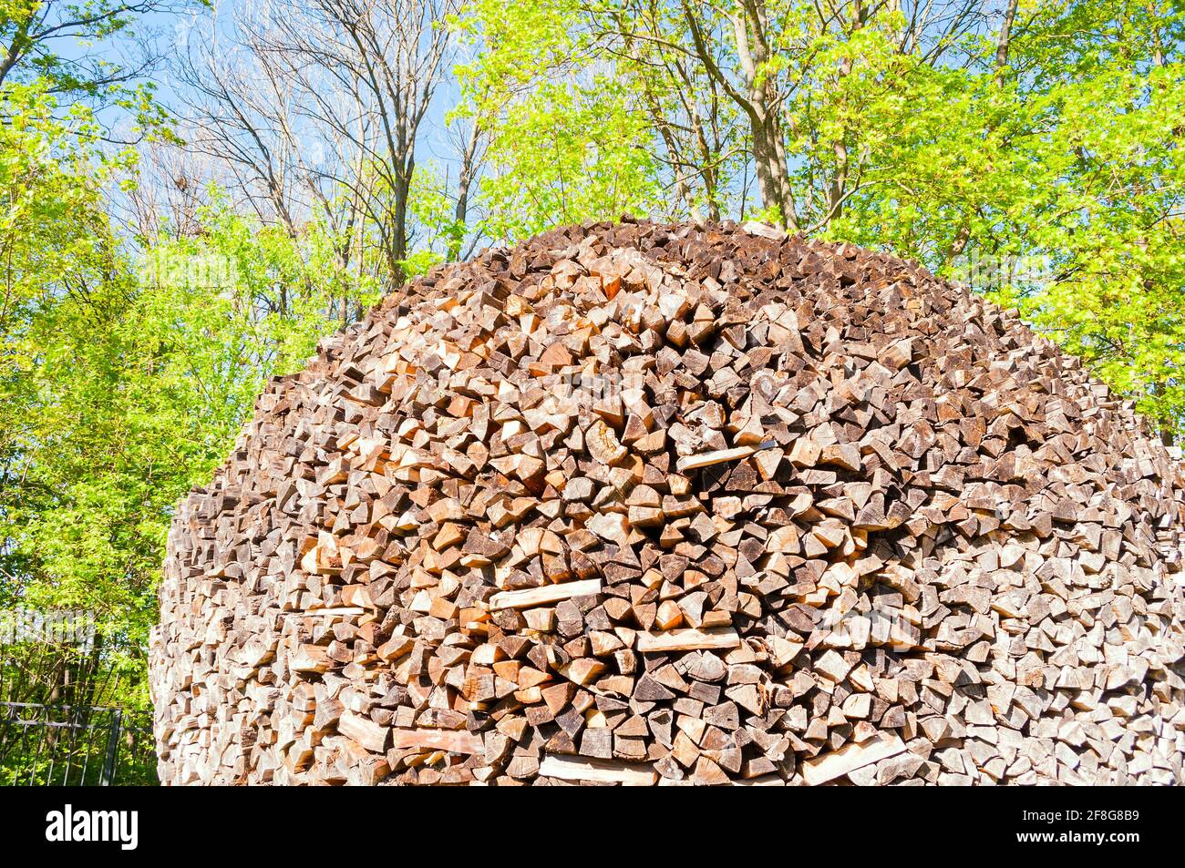Pile of stacked firewood in the forest, prepared for fireplace and ...