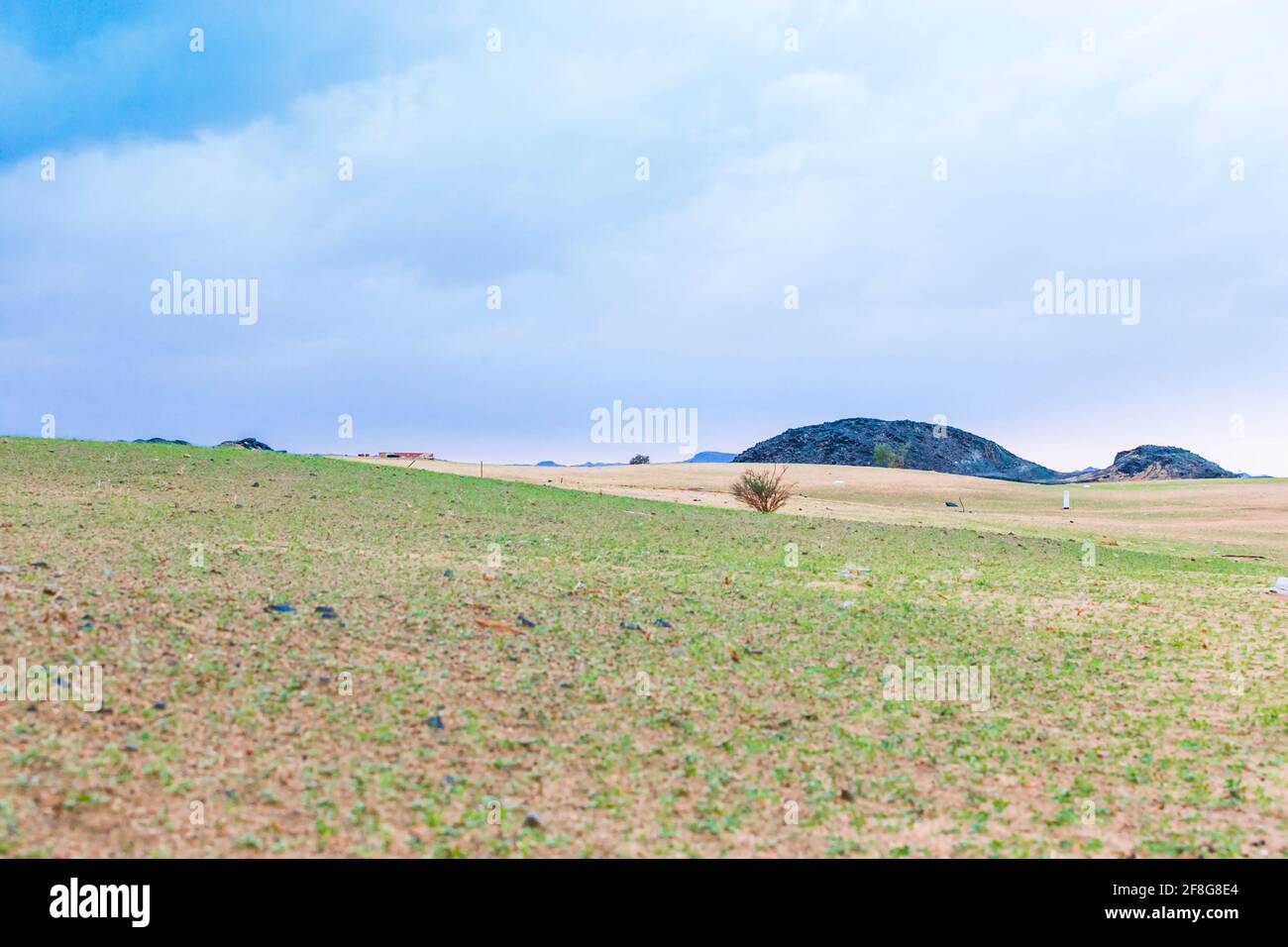 saudi arabia desert landscape Stock Photo - Alamy