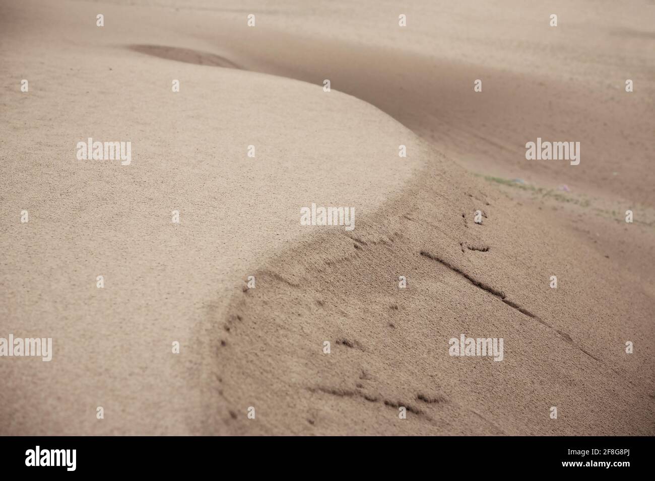 sand dunes in saudi arabia Stock Photo - Alamy