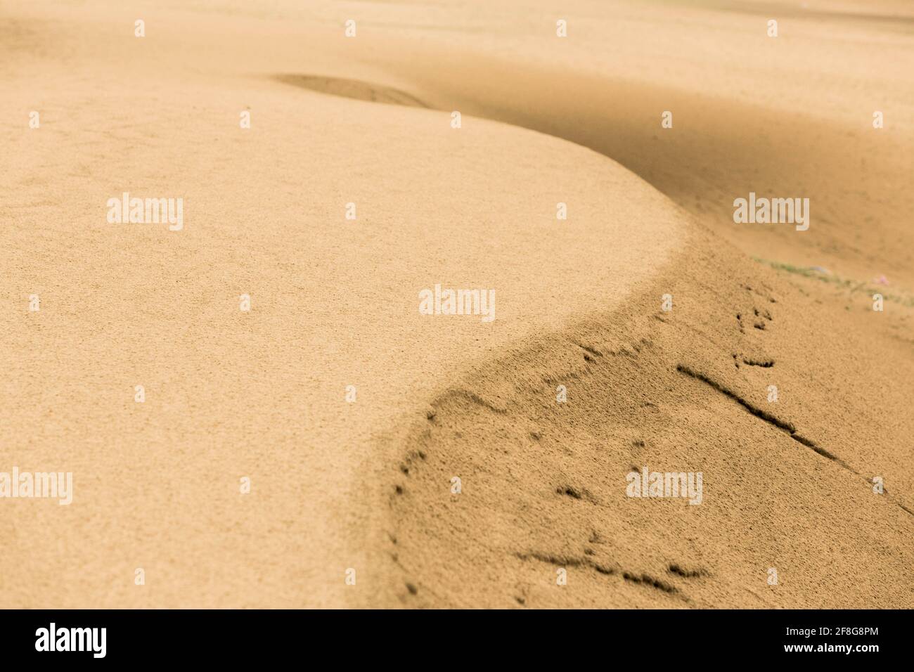 sand dunes in saudi arabia Stock Photo - Alamy