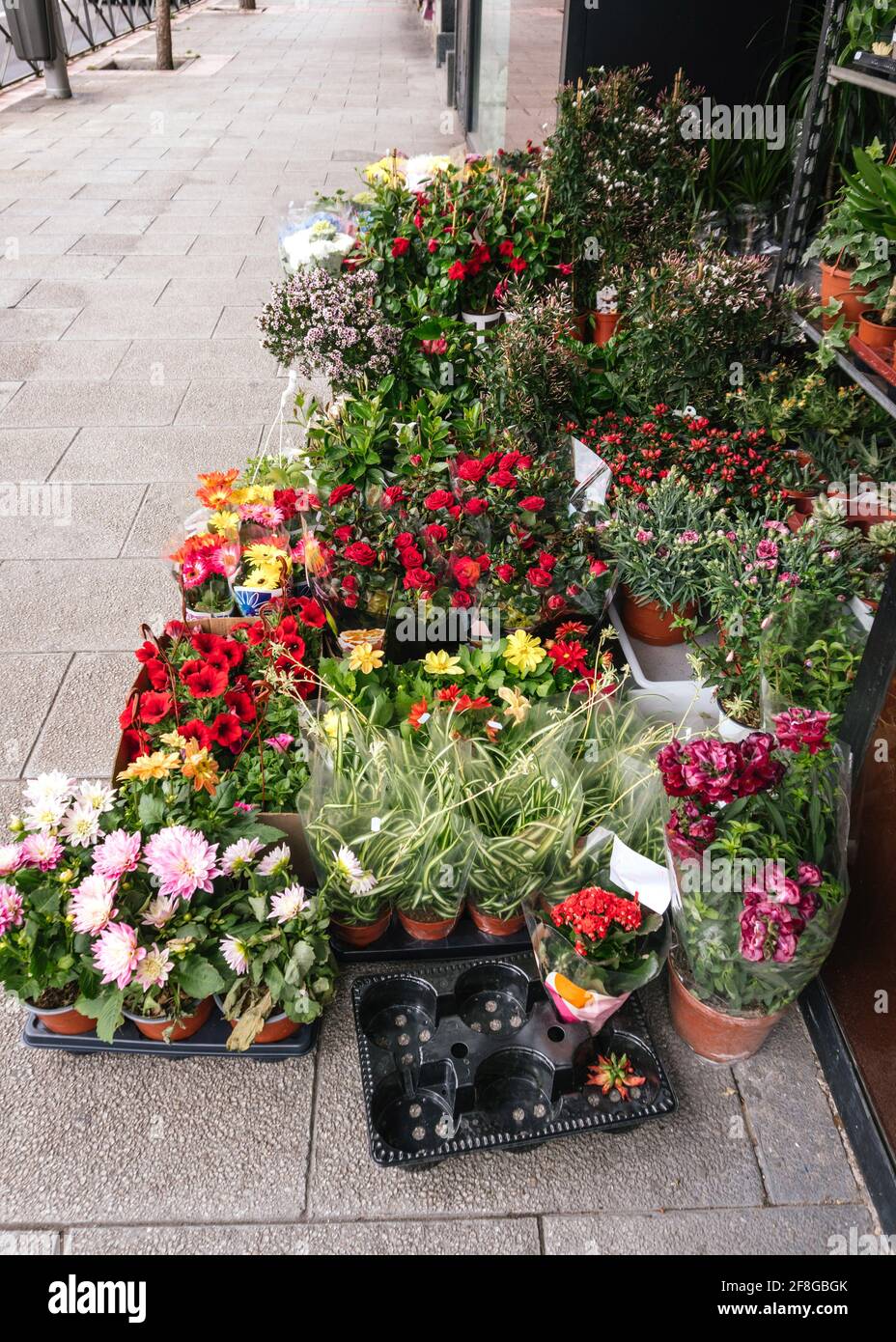Colorful collection of colourful flowers outside a store Stock Photo ...