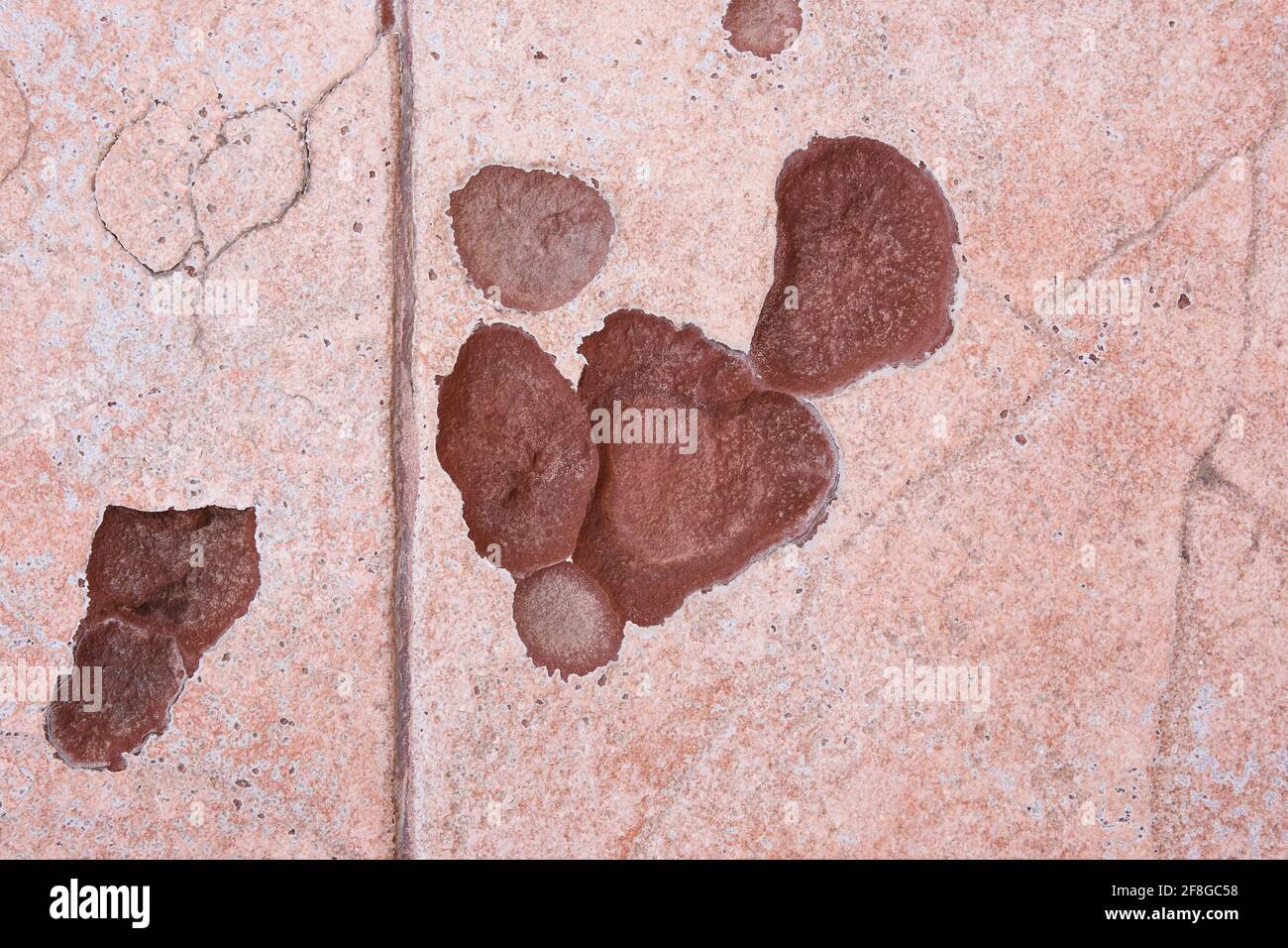 Broken floor tile detail. Construction issues. Damaged surface. Cracked ...