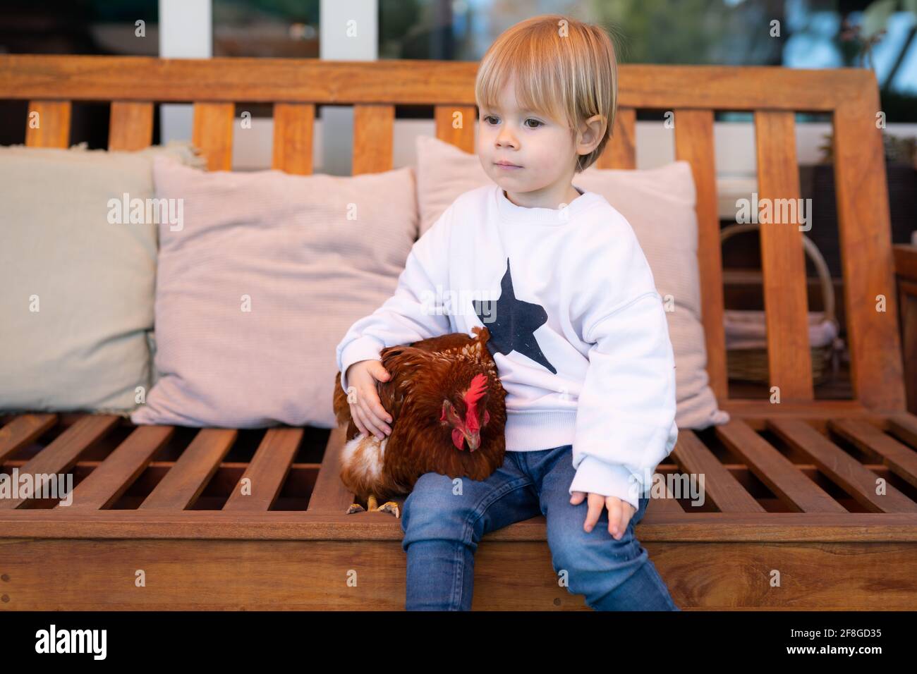 Little boy is playing with a hen in the garden at home Stock Photo - Alamy