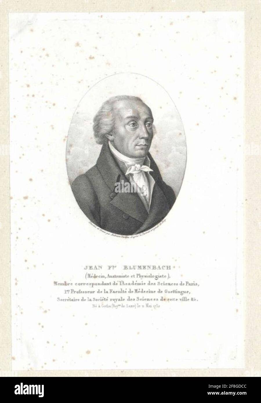 Blumenbach, Johann Friedrich Zeichner: Tardieu, Ambroisestecher ...