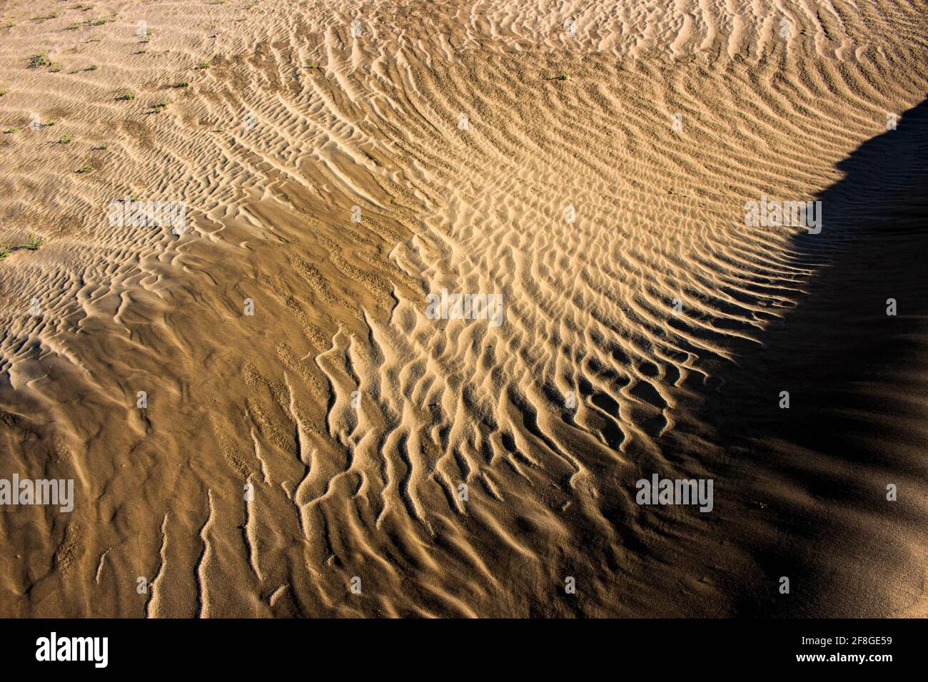 sand dunes in saudi arabia Stock Photo - Alamy
