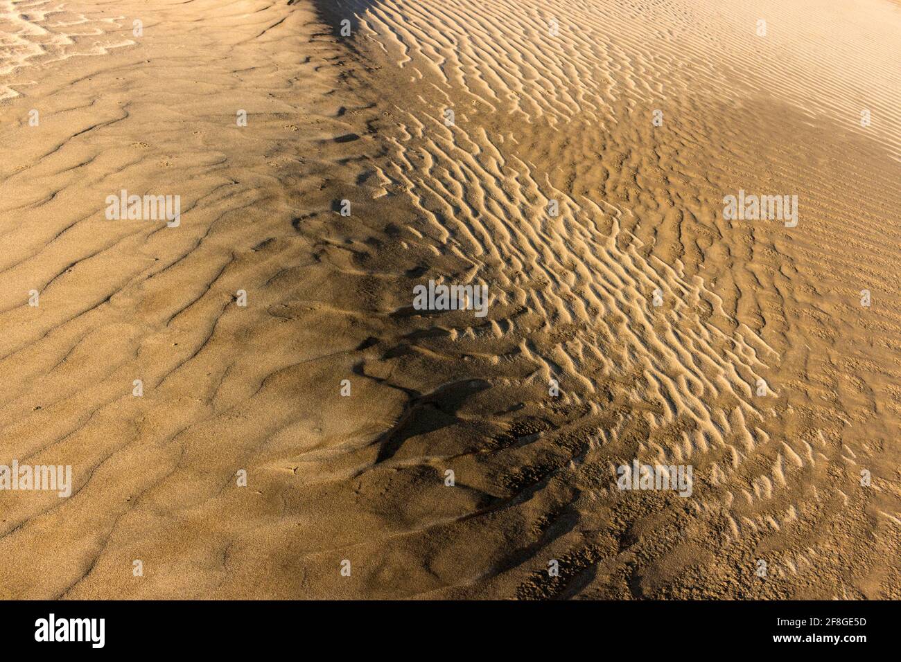 sand dunes in saudi arabia Stock Photo - Alamy