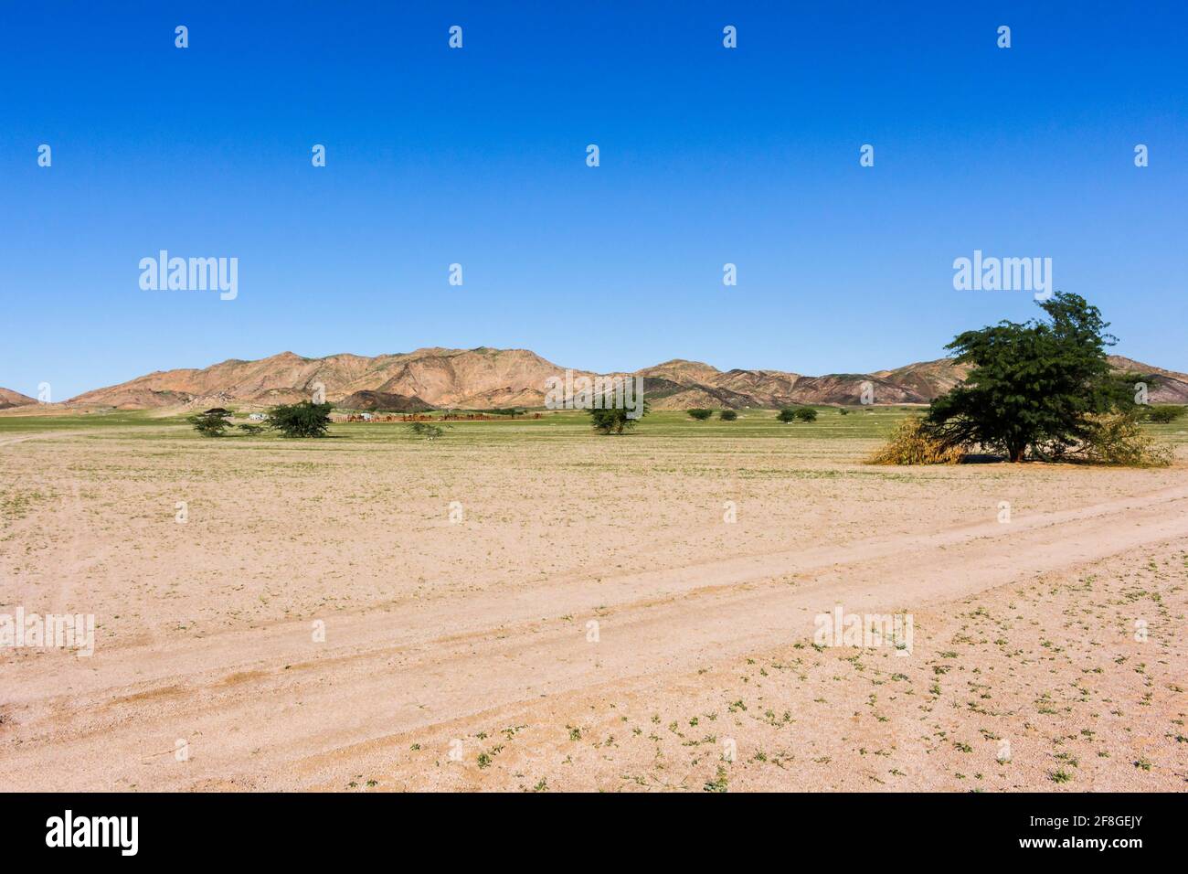 saudi arabia desert landscape Stock Photo - Alamy