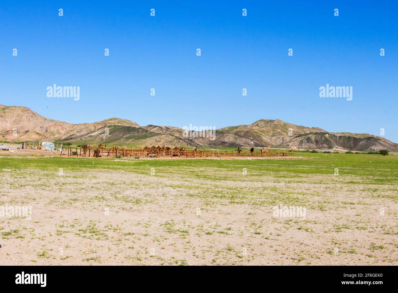 Saudi arabia desert hi-res stock photography and images - Alamy