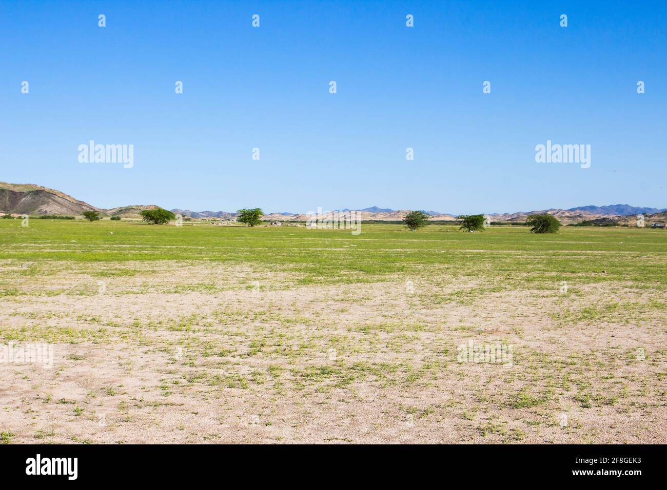 saudi arabia desert landscape Stock Photo - Alamy