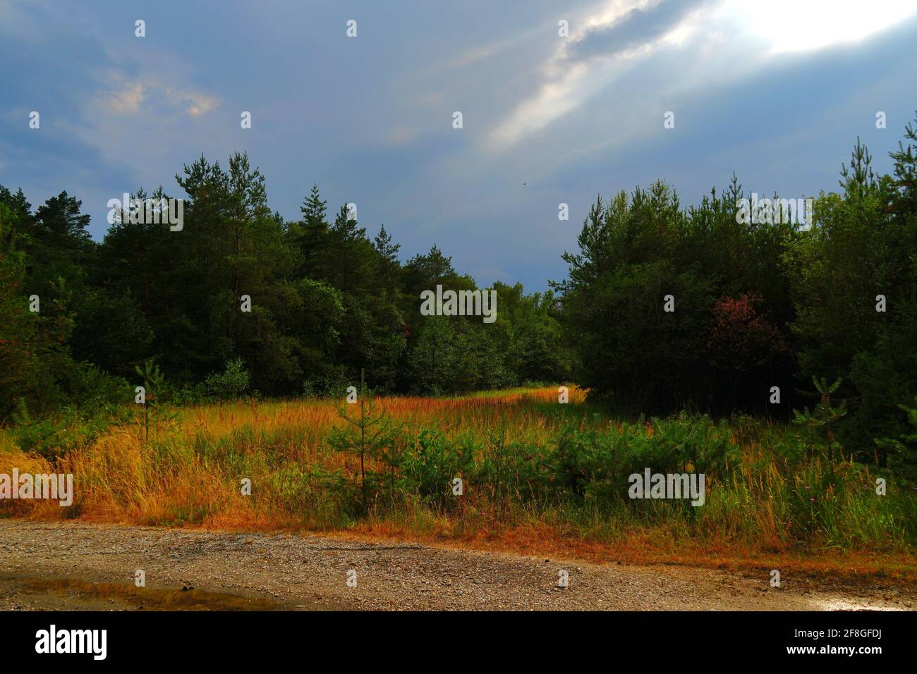 Wahner heide nature reserve hi-res stock photography and images - Alamy