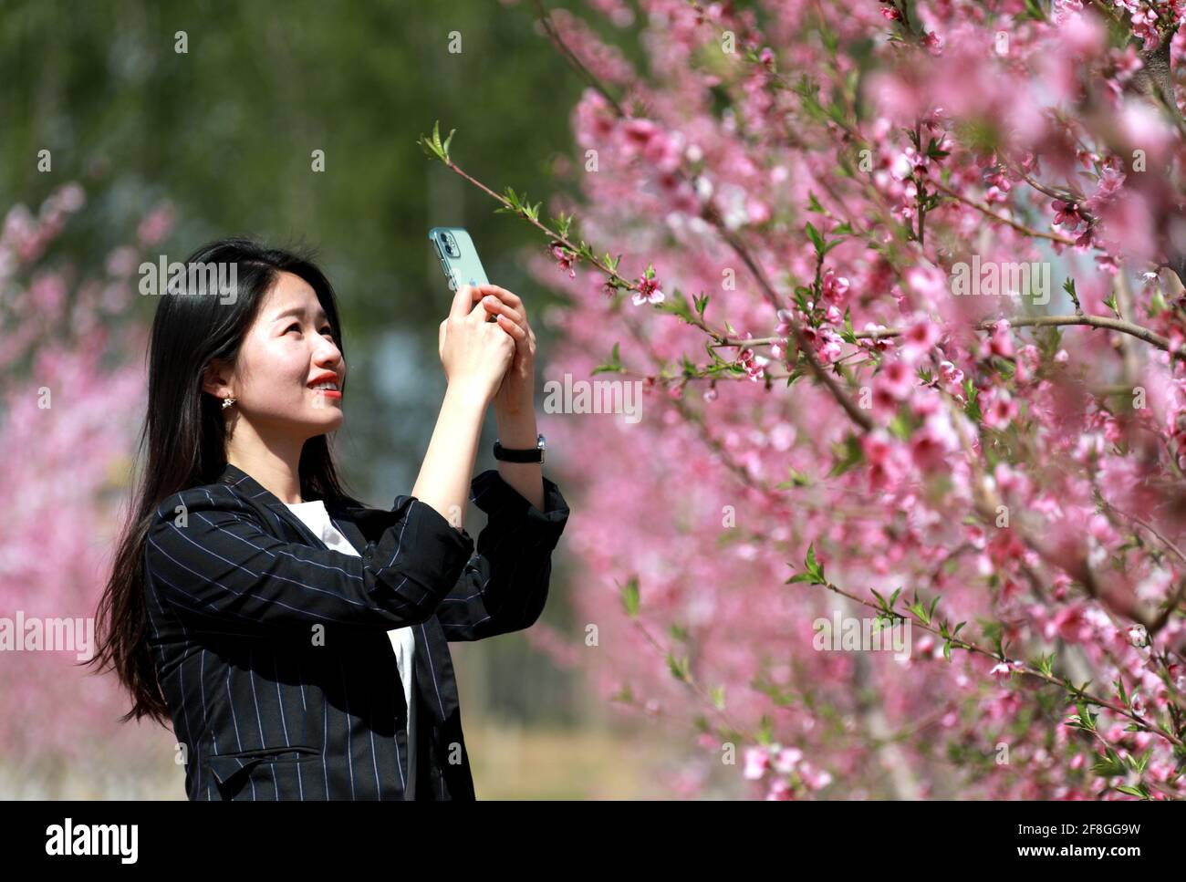 Langfang, China's Hebei Province. 14th Apr, 2021. A tourist takes ...