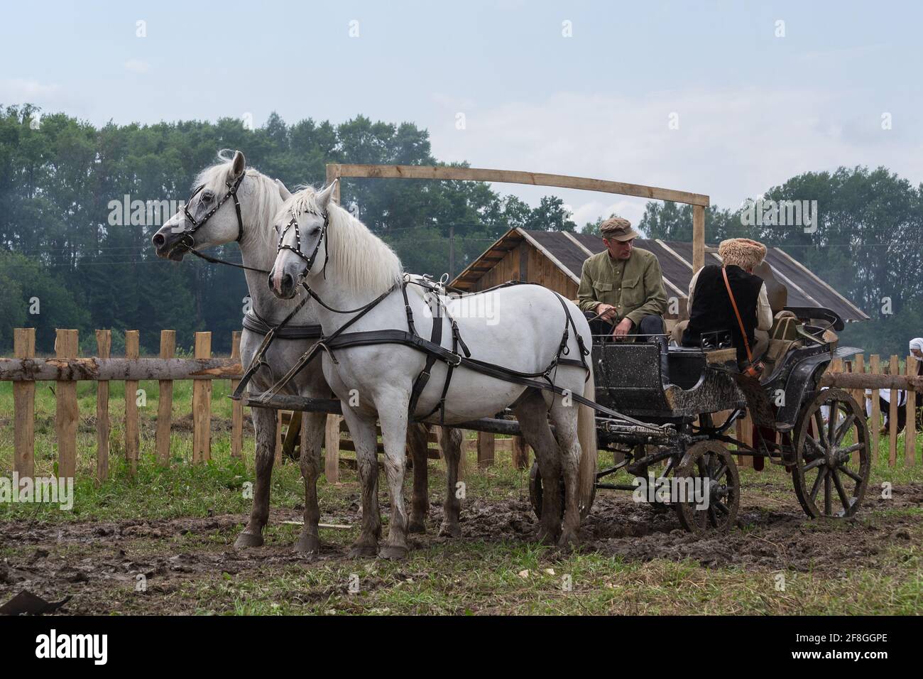 Civil war horse carriage hi-res stock photography and images - Alamy