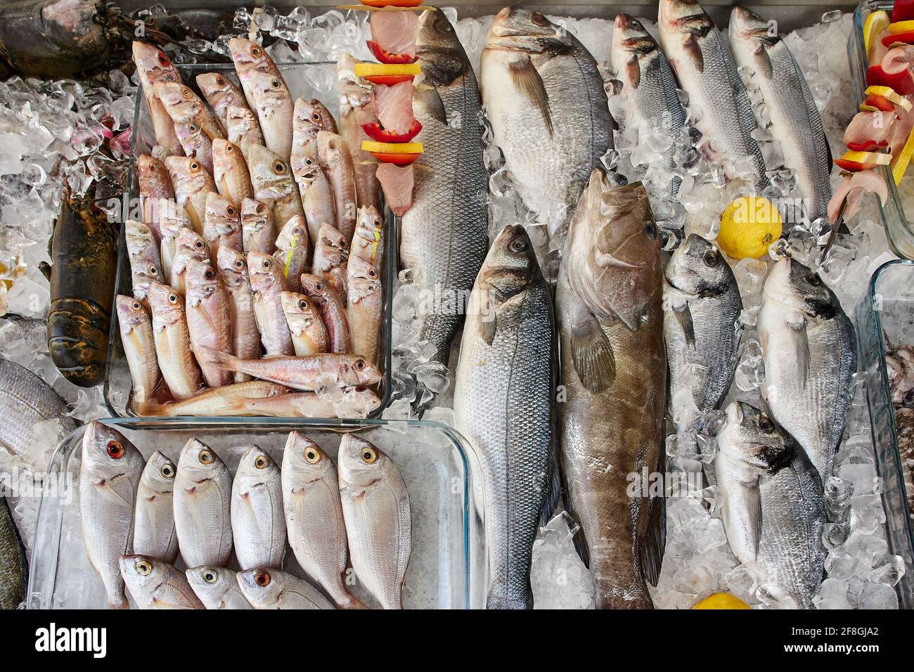 Types of seafish hi-res stock photography and images - Alamy