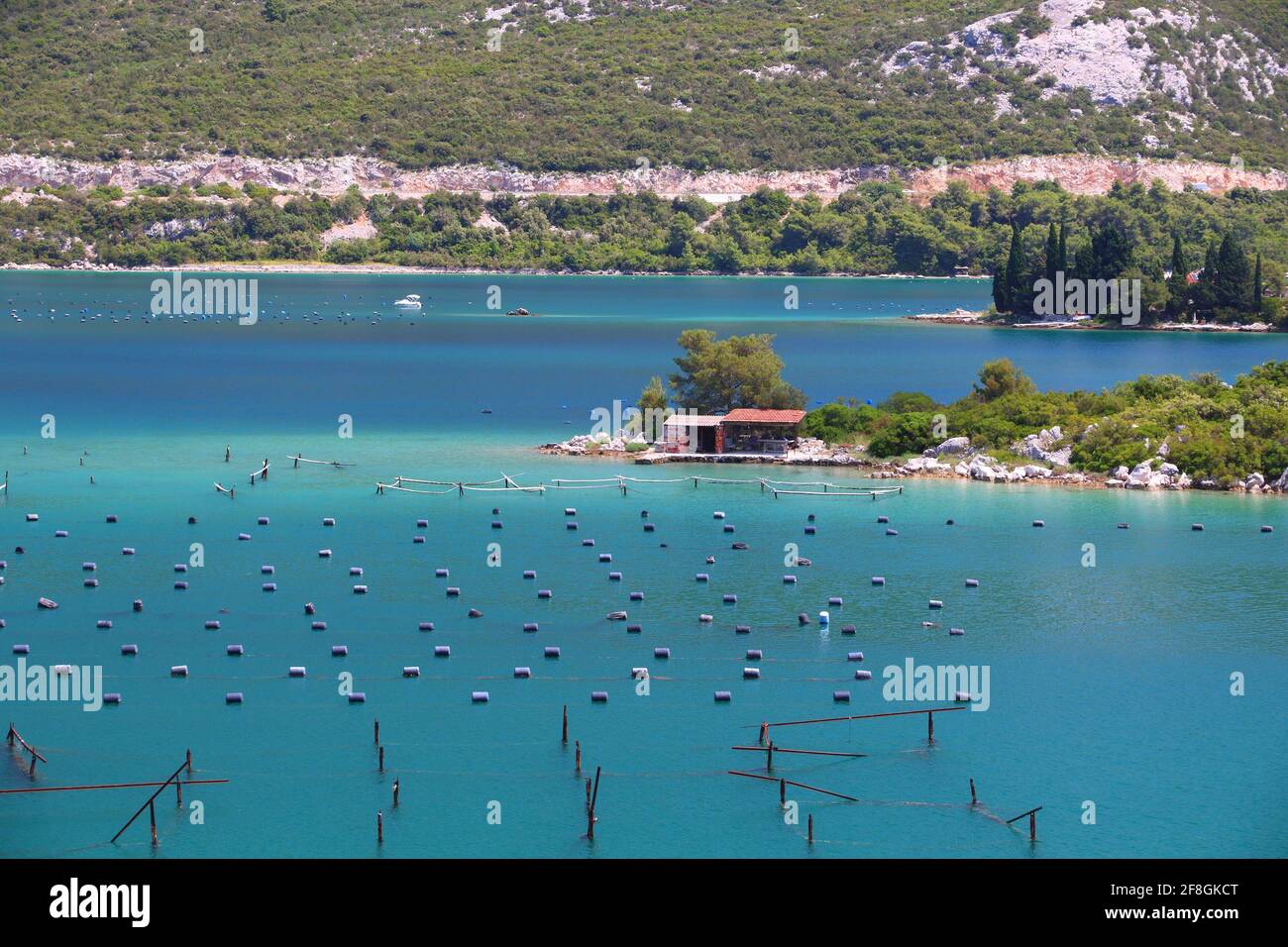 Mussels croatia hi-res stock photography and images - Alamy