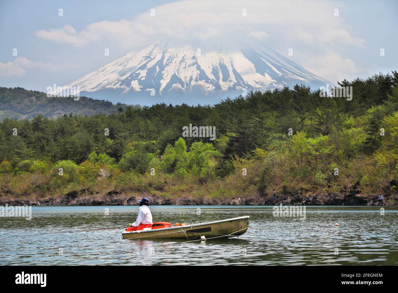 Mount Fuji in Japan. View of Mt Fuji from Lake Saiko, one of famous ...