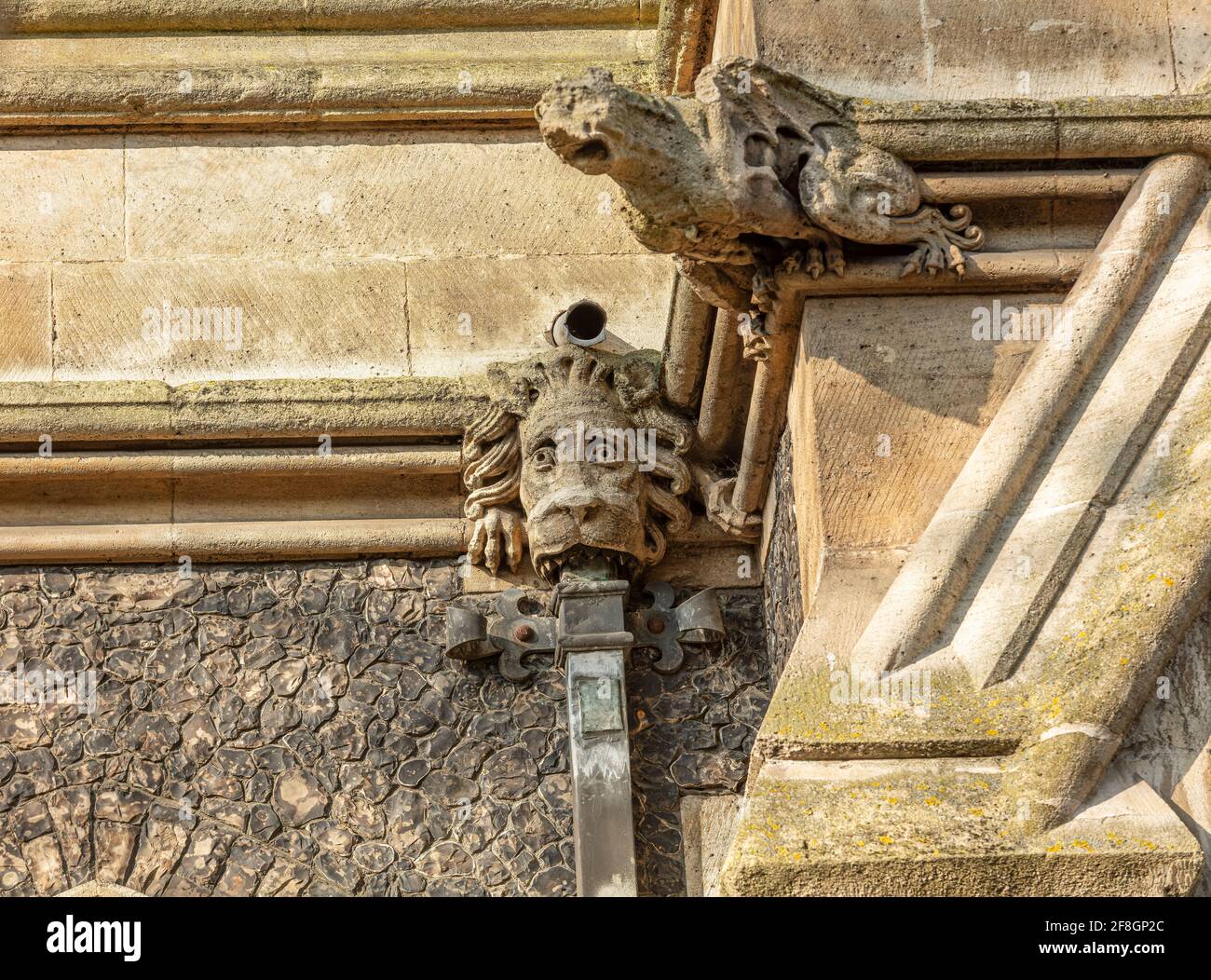 Grotesque architecture hi-res stock photography and images - Alamy