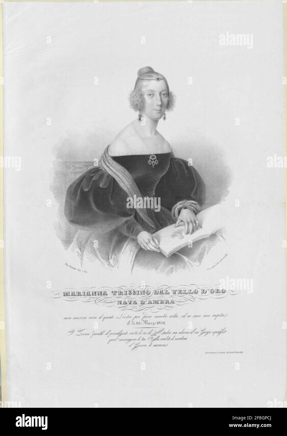 Amber d hi-res stock photography and images - Alamy