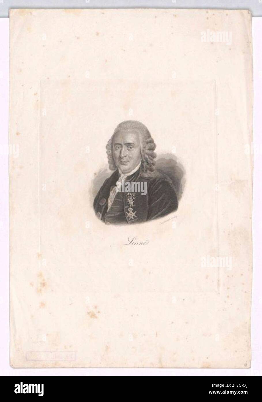 Linné, Charles of Stock Photo - Alamy