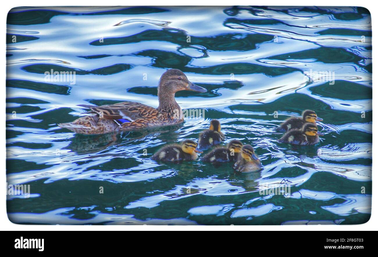 Southport credit Ian Fairbrother/Alamy Stock Photos Stock Photo - Alamy