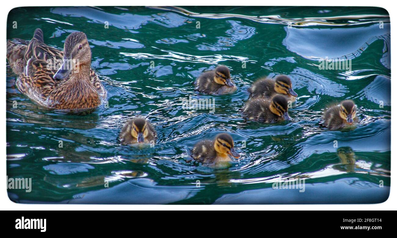 Southport credit Ian Fairbrother/Alamy Stock Photos Stock Photo - Alamy